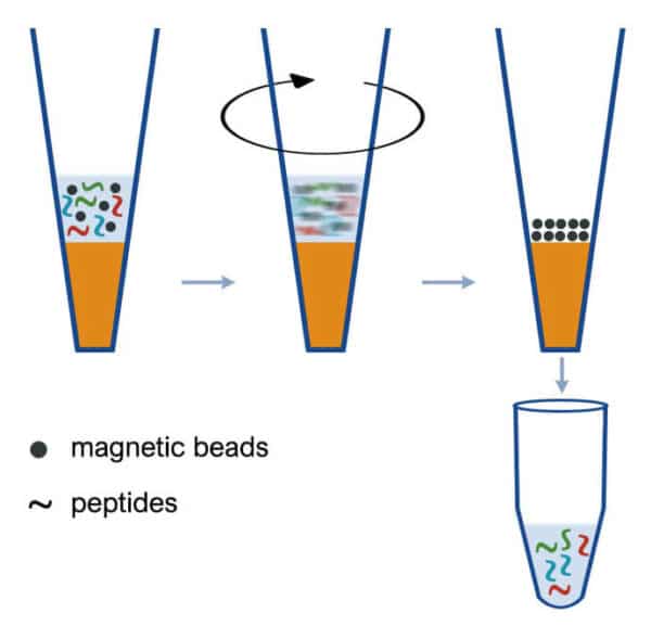 Magnetic beads removal - Affinisep
